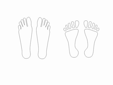 Hands and Feet Template